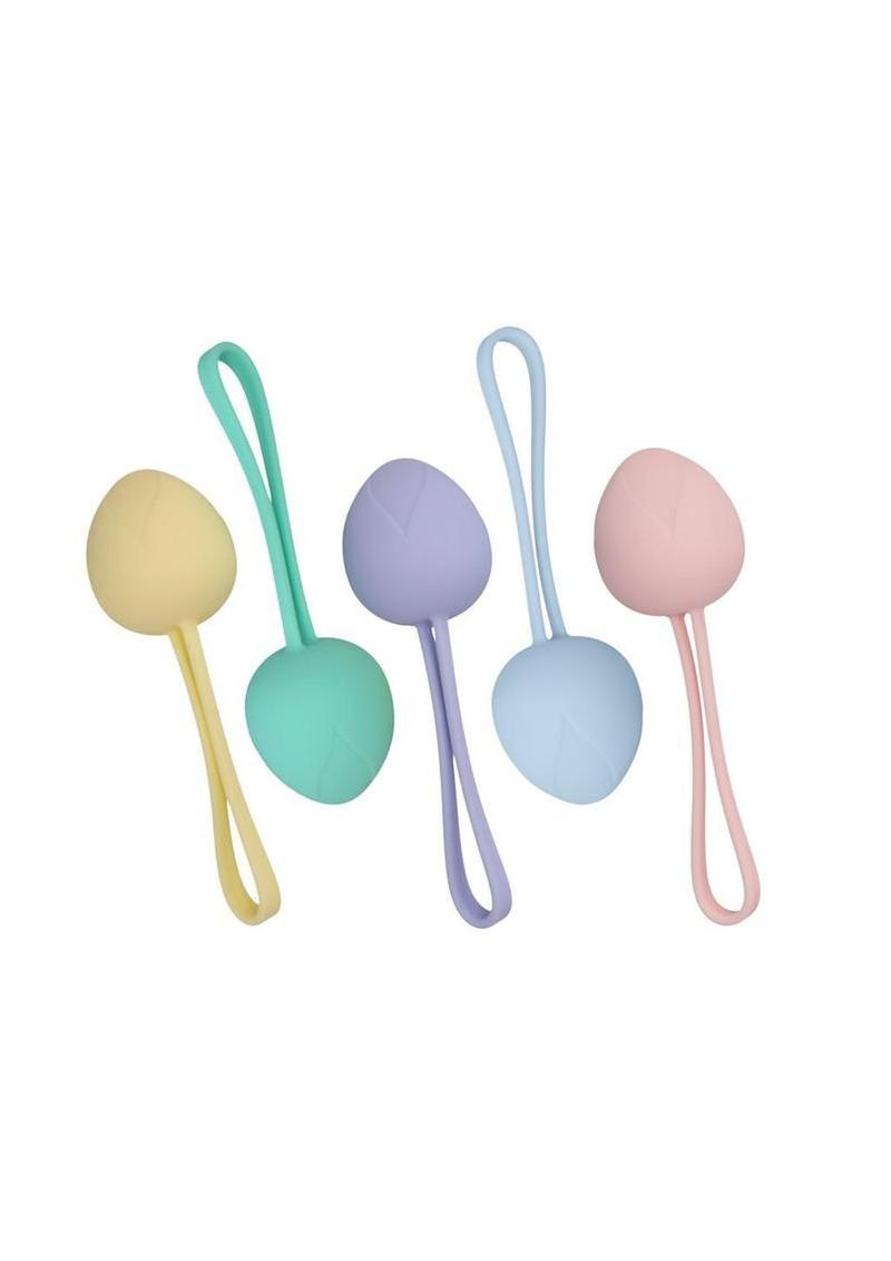 Loveline Pelvifit Berry Kegel Kit Multi – Pleasures & Treasures